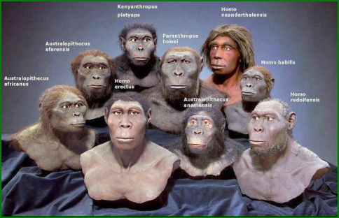 LES DÉFIS DU DIRLO : LA PRÉHISTOIRE